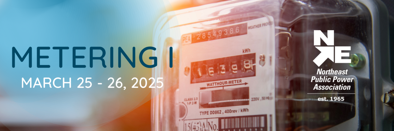 2024 Metering I Program | NEPPA